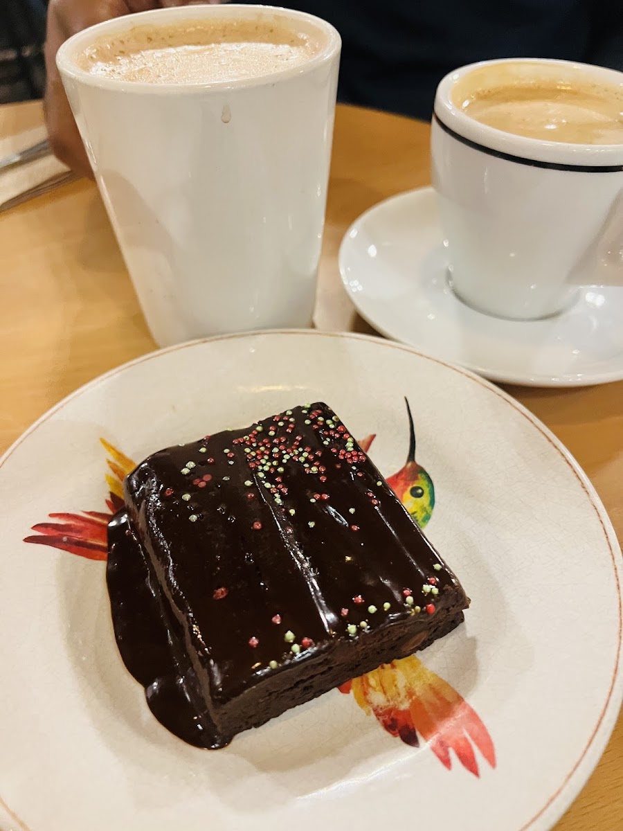 Higher Ground Cafe Reviews - Read Full Reviews, Menu, Photos, Location